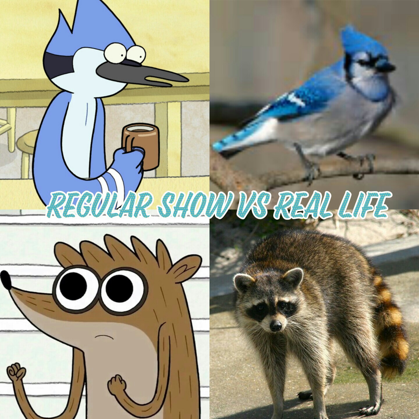 Regular Show In Real Life