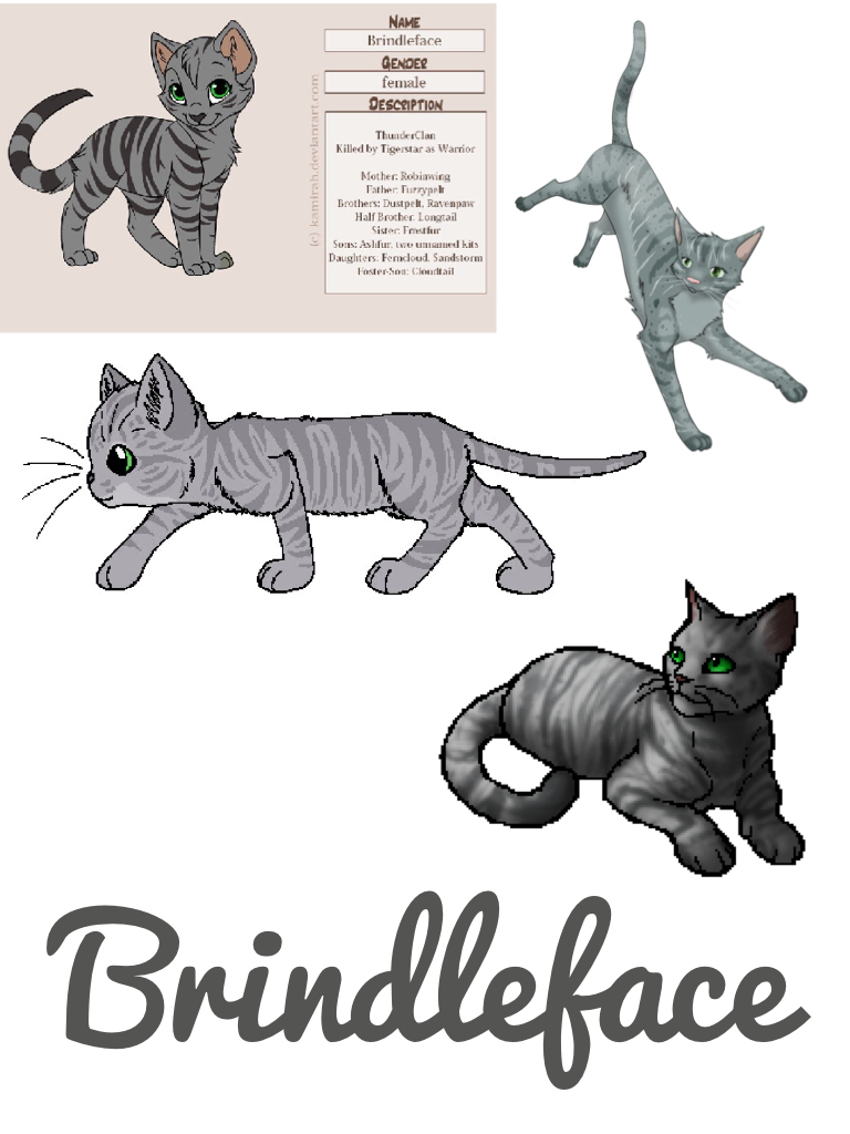 Brindleface Warriors