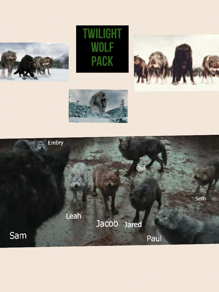 Twilight Wolf Pack Embry