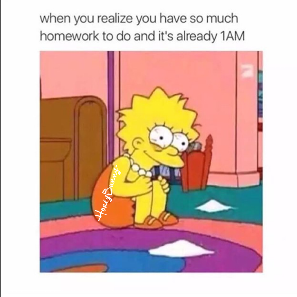Too Much Homework Meme